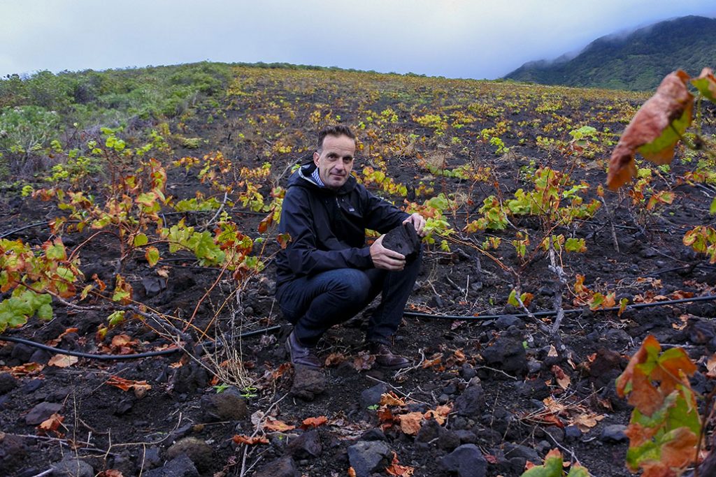 El ‘Master of Wine’ David Forer destaca la identidad única de los vinos ...